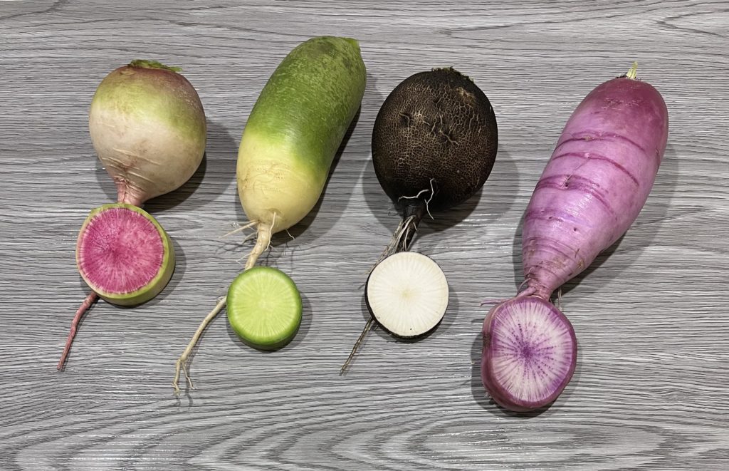 Winter Radish, 1lb - Simcoe Harvest